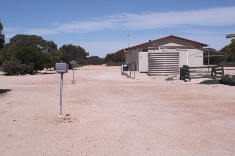 Recover At The Border Village Roadhouse